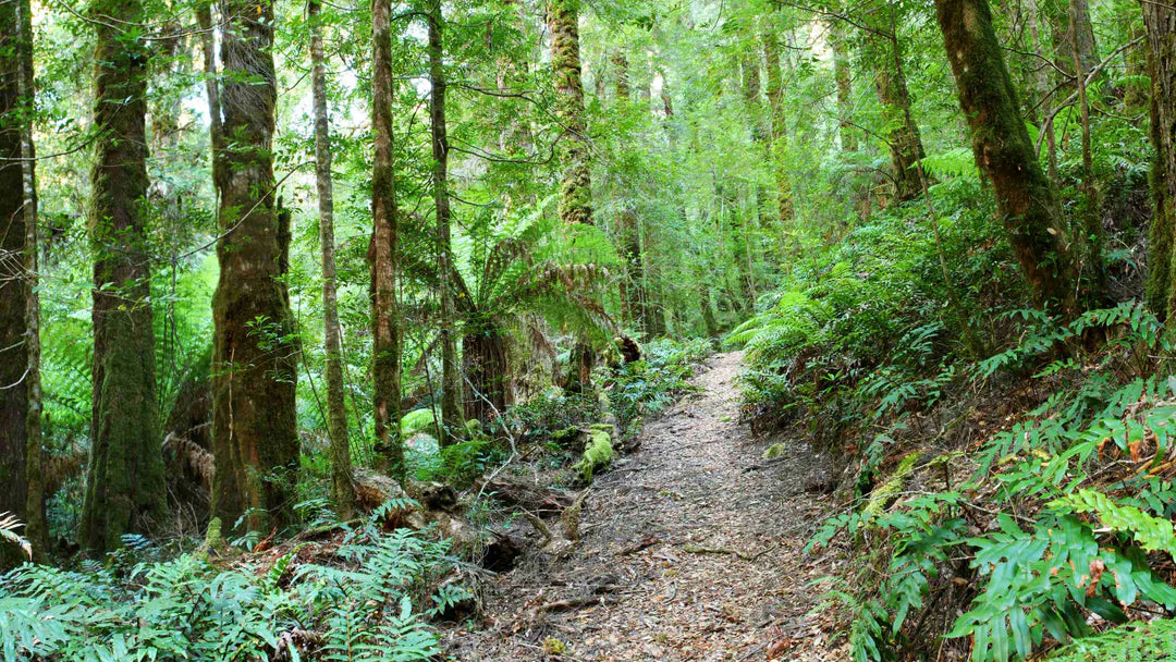 Adventure Designs — Ultralight Gear